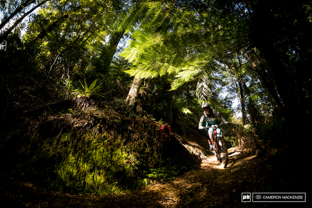 at Nydia Bay in Nelson, New Zealand - photo by cameronmackenzie - Pinkbike