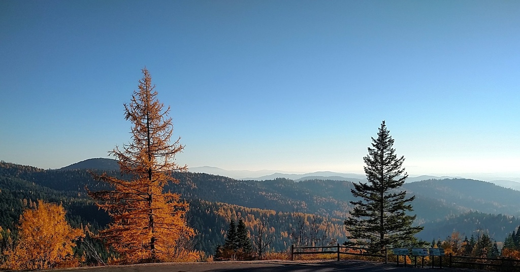 Race Report: Velo NW's Mt Spokane Full Pull - Pinkbike
