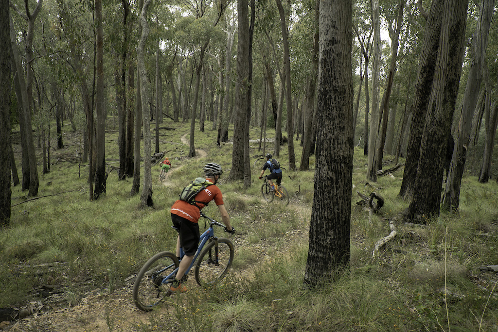 3 Days Riding Australia's Original Mountain Bike Trails in Victoria's ...