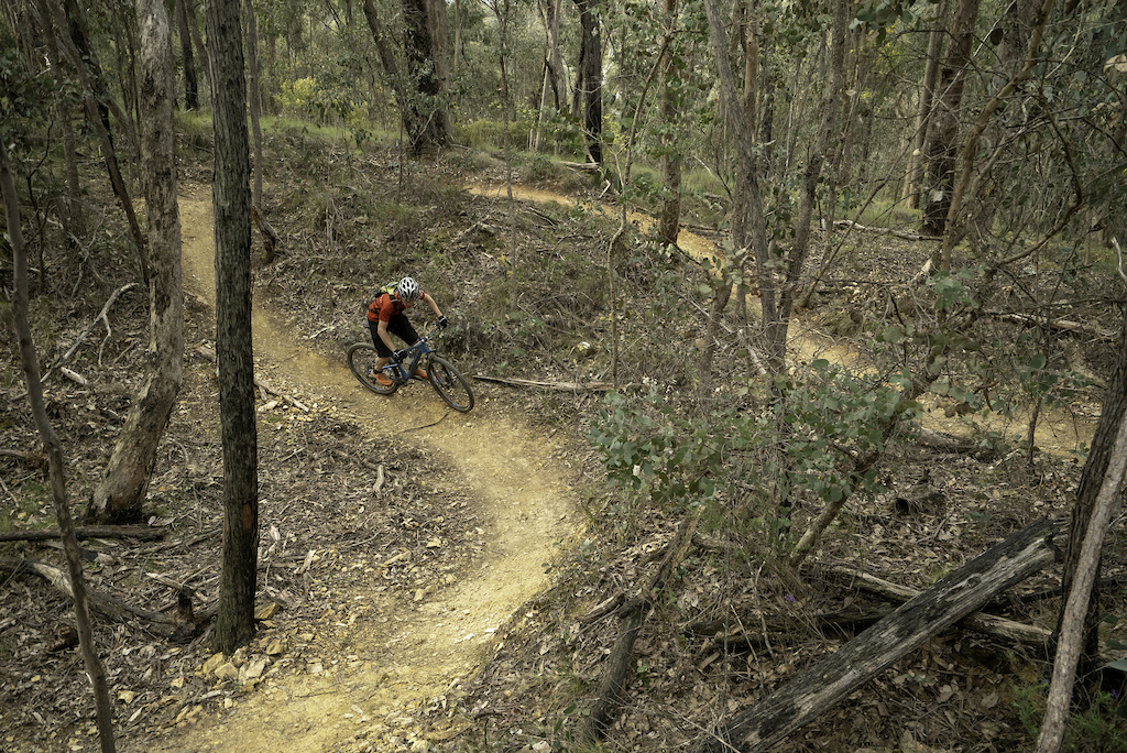 3 Days Riding Australia's Original Mountain Bike Trails in Victoria's ...