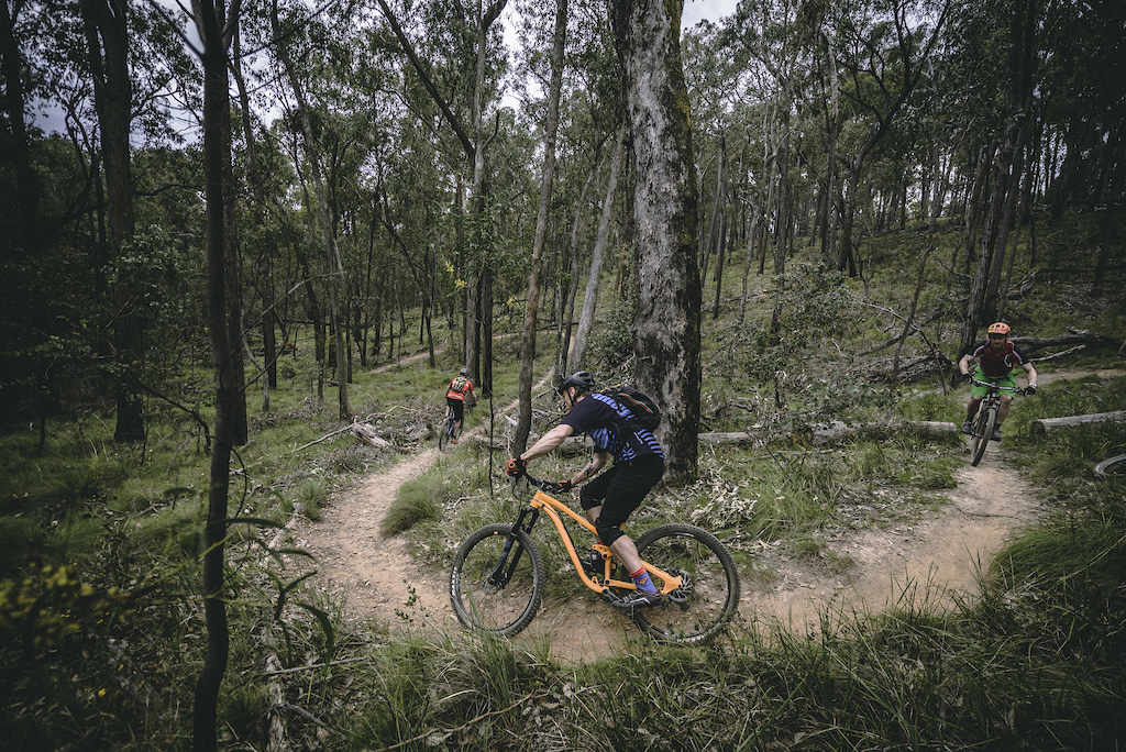 3 Days Riding Australia's Original Mountain Bike Trails in Victoria's ...