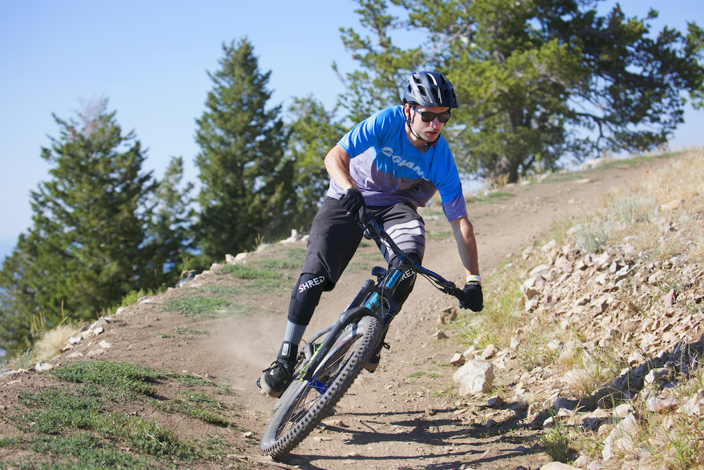 Video: SHRED Announces Formal Relaunch - Pinkbike