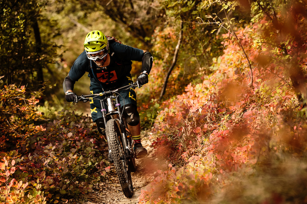 GeoMetron to Distribute Formula in the UK - Pinkbike