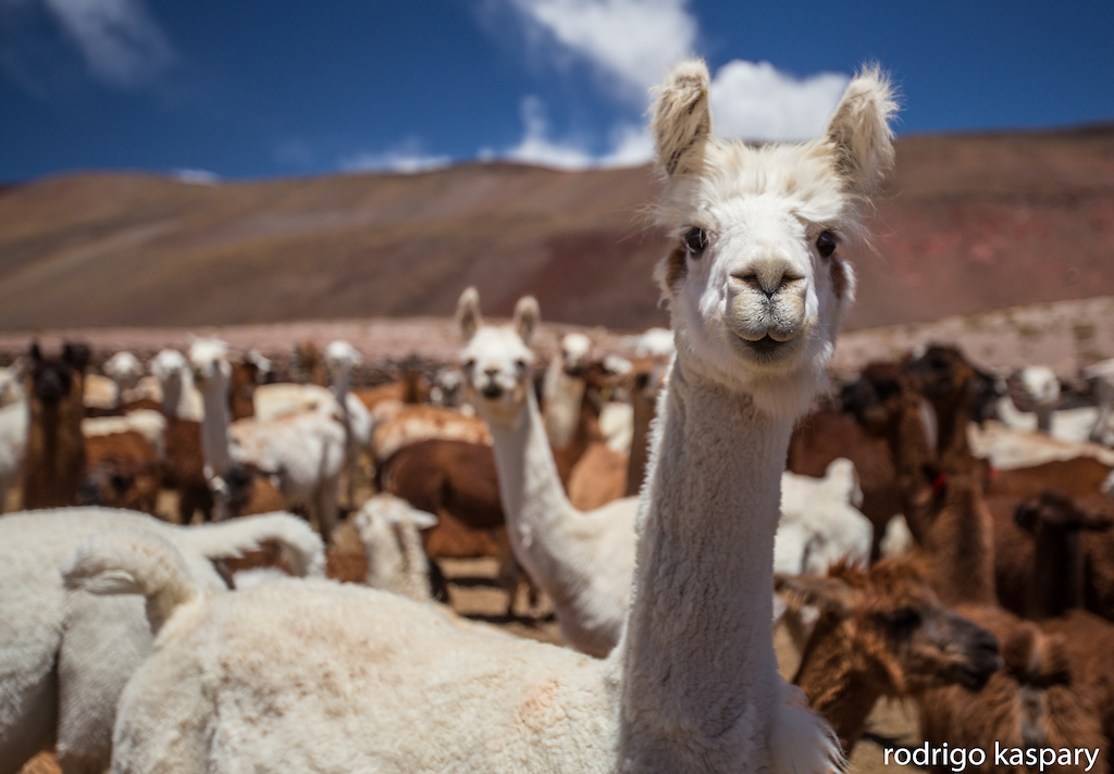 Photo Story: Andes Adventure With a Bike & a Beetle - Pinkbike