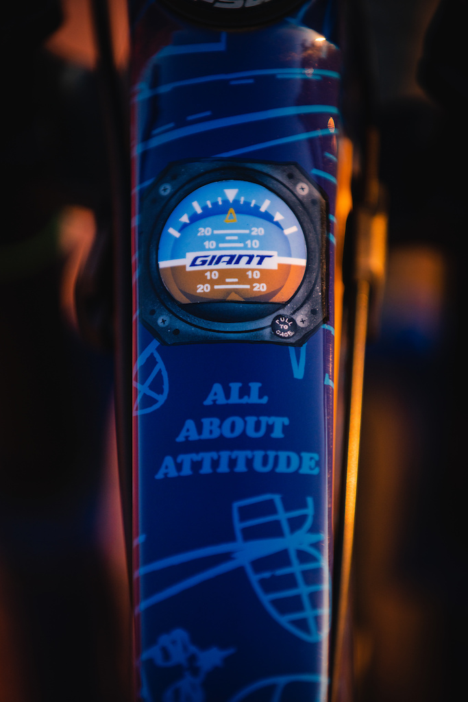 Giant Shows Off Reece Wallace's Custom Painted Rampage Bike - Pinkbike