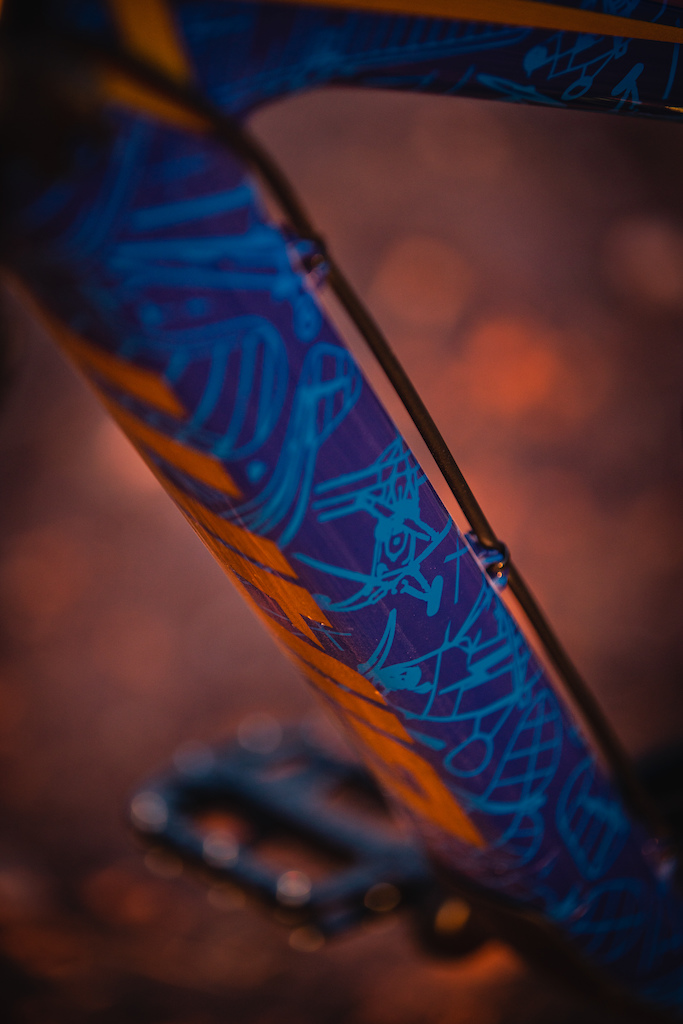 Giant Shows Off Reece Wallace's Custom Painted Rampage Bike - Pinkbike