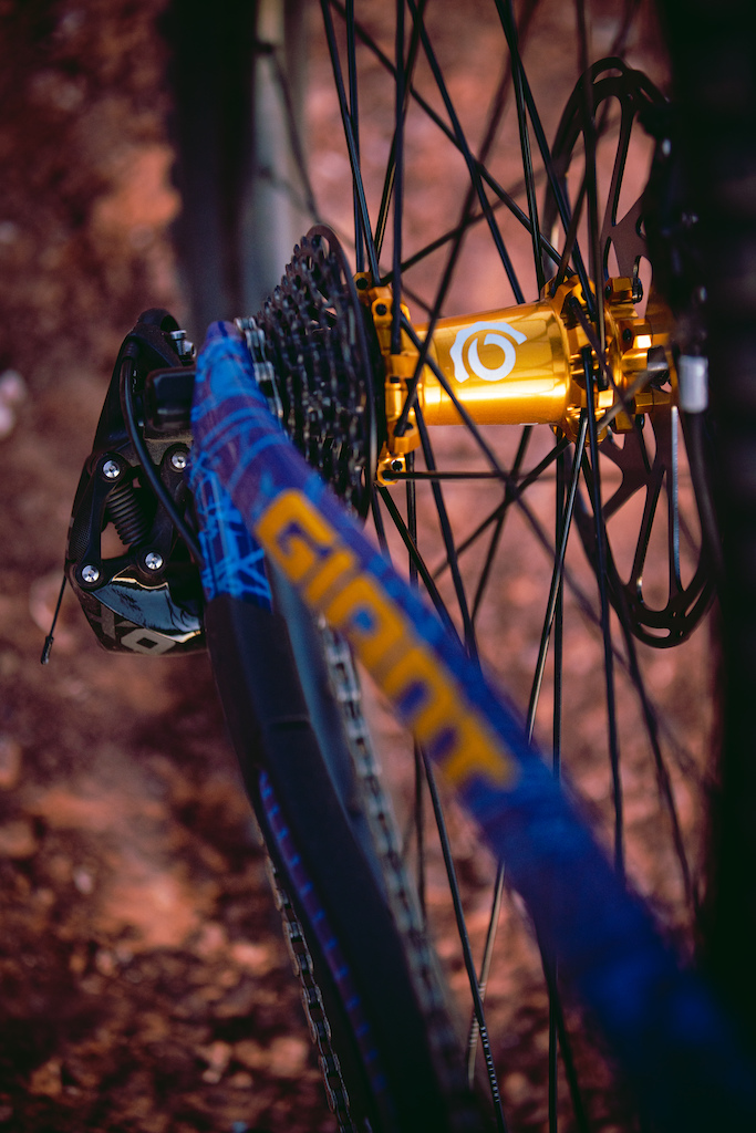 Giant Shows Off Reece Wallace's Custom Painted Rampage Bike - Pinkbike