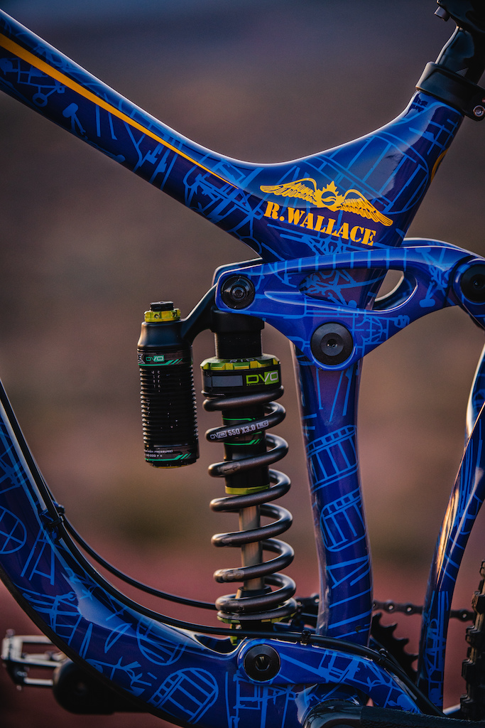 Giant Shows Off Reece Wallace's Custom Painted Rampage Bike - Pinkbike