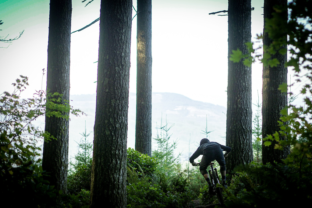 Video: Exploring Trails in the Yacolt Burn Forest - Pinkbike
