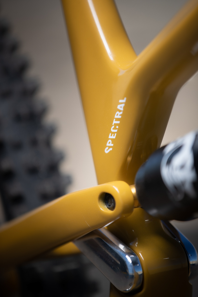 Video: Luca Cometti Builds A Custom-Painted Canyon Spectral 29 - Pinkbike