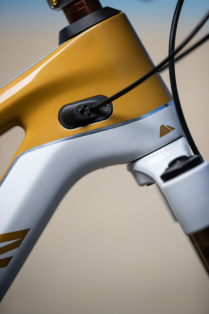 Video: Luca Cometti Builds A Custom-Painted Canyon Spectral 29 - Pinkbike