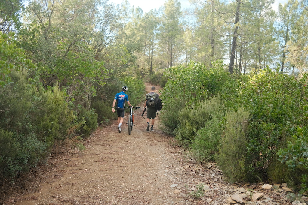 Video: Sam Gaze's Journey From Rural New Zealand to Becoming a World ...