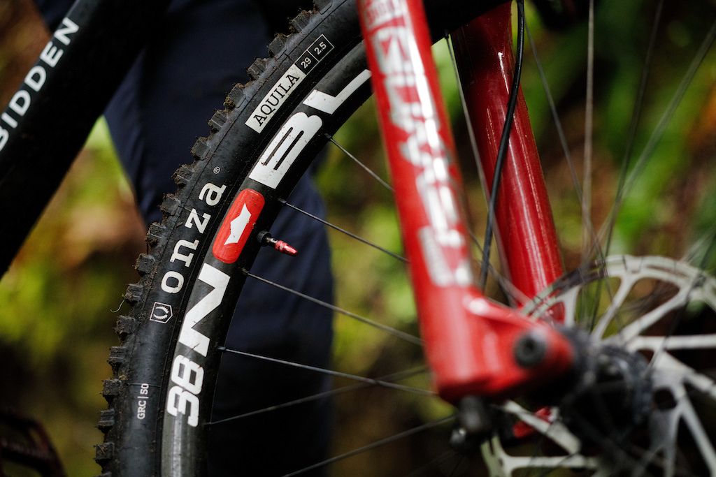 Video: Dillon Butcher's 2022 Season Highlights - Pinkbike