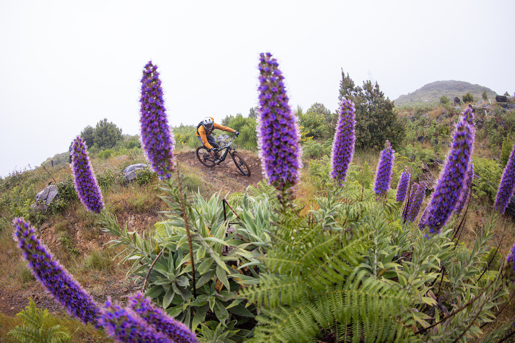 Video & Race Report: Trans Madeira Summer 2023 - Days 1 & 2 - Pinkbike