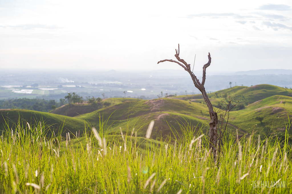 Race Report: The Bongabon Four Cross Track - Pinkbike
