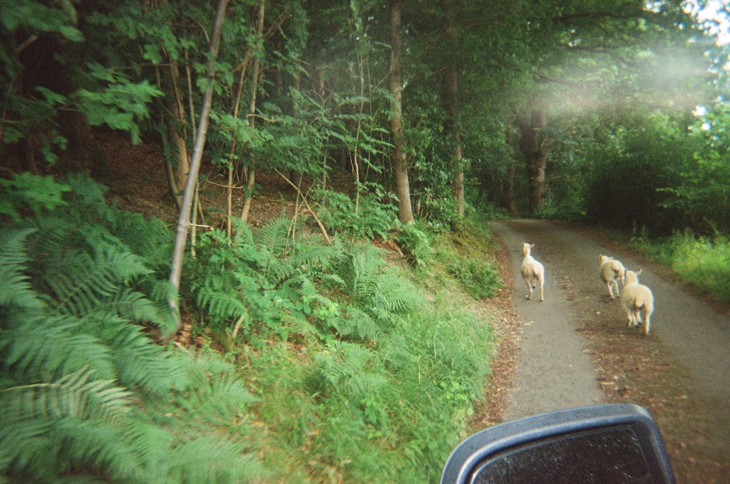 Video: Foot Out Flat Out Drifting with Alex Storr - Pinkbike