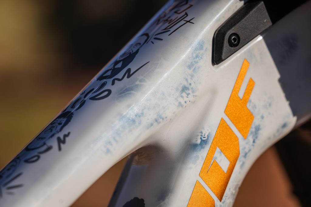 Bike Check: DJ Brandt's Nukeproof Dissent - Red Bull Rampage 2023 ...