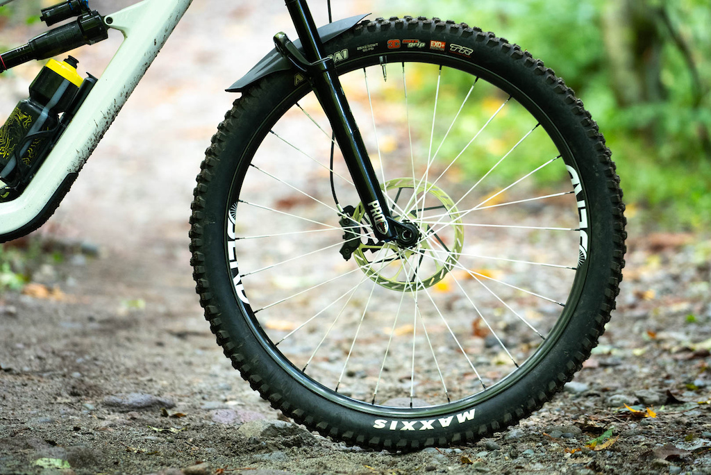Henry's Quinney's 2024 Predictions - Pinkbike