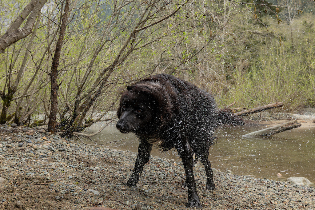 Photo Story: Off Season with 2x Canadian Champion Bailey Goldstone ...