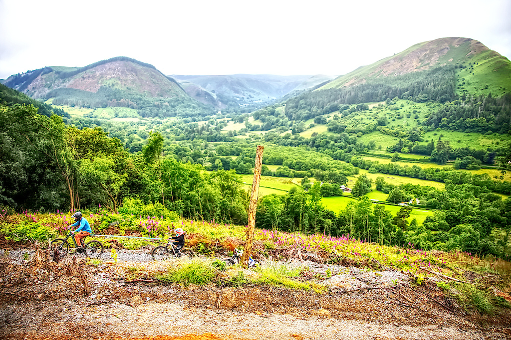 Revolution Bike Park Re-opens - Pinkbike