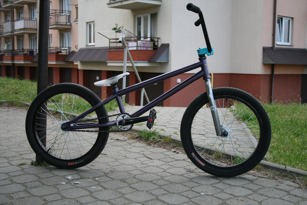 ghost rider at black eye killorado cult animal primo salt in ulan bator ...