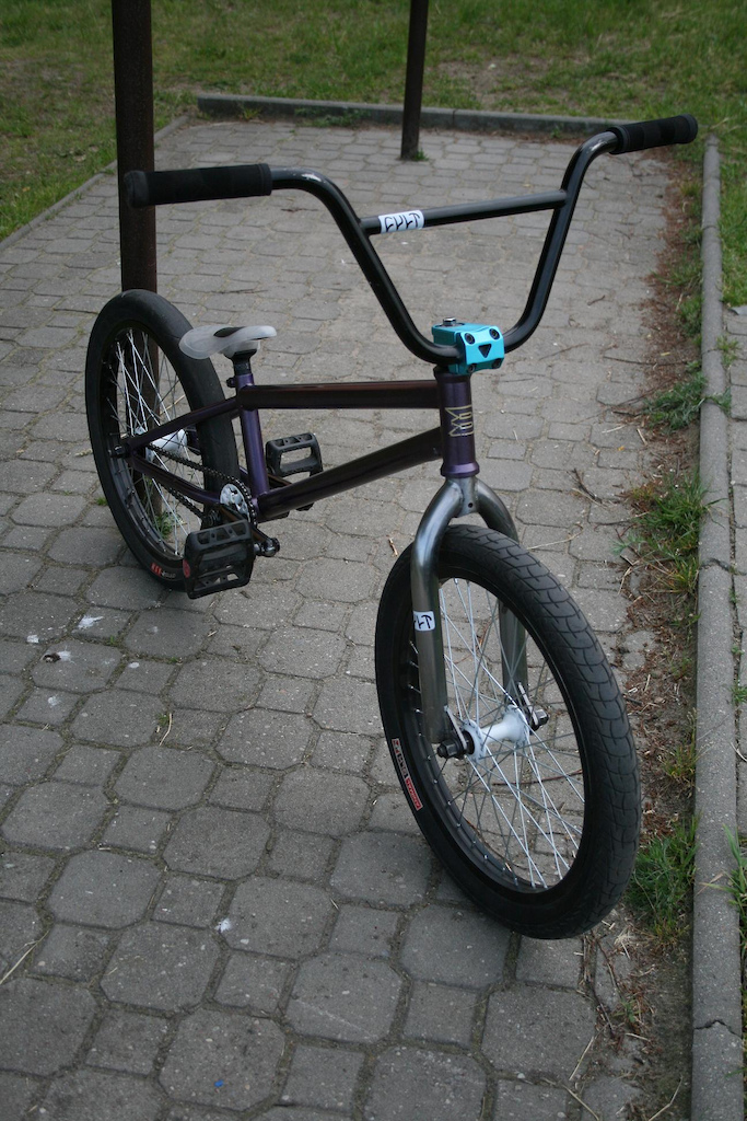 ghost rider at black eye killorado cult animal primo salt in ulan bator ...