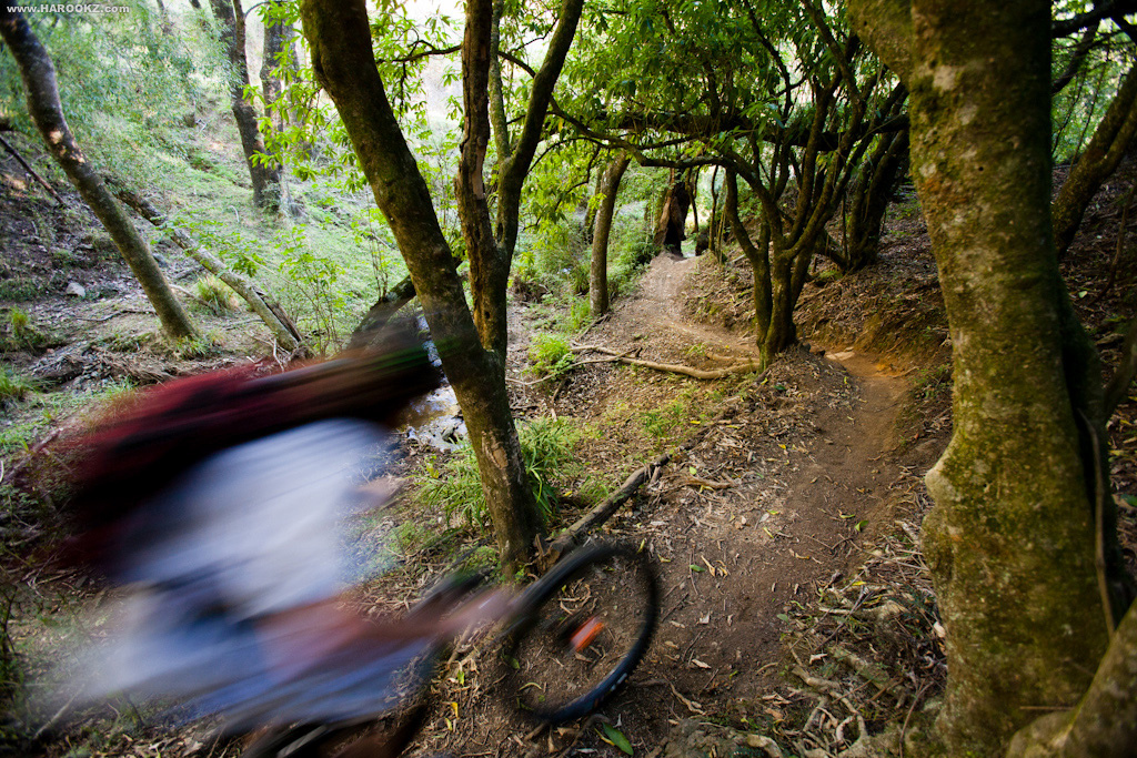 Unforgettable Adventure - Easton riders in NZ - Pinkbike