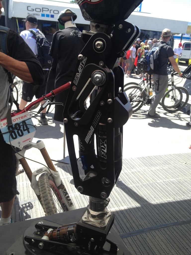 Fox leg at Sea Otter in Camptonville, California, United States - photo ...