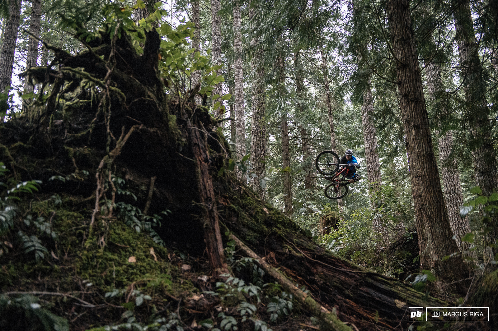 BUILDER: Geoff Gulevich - Pinkbike