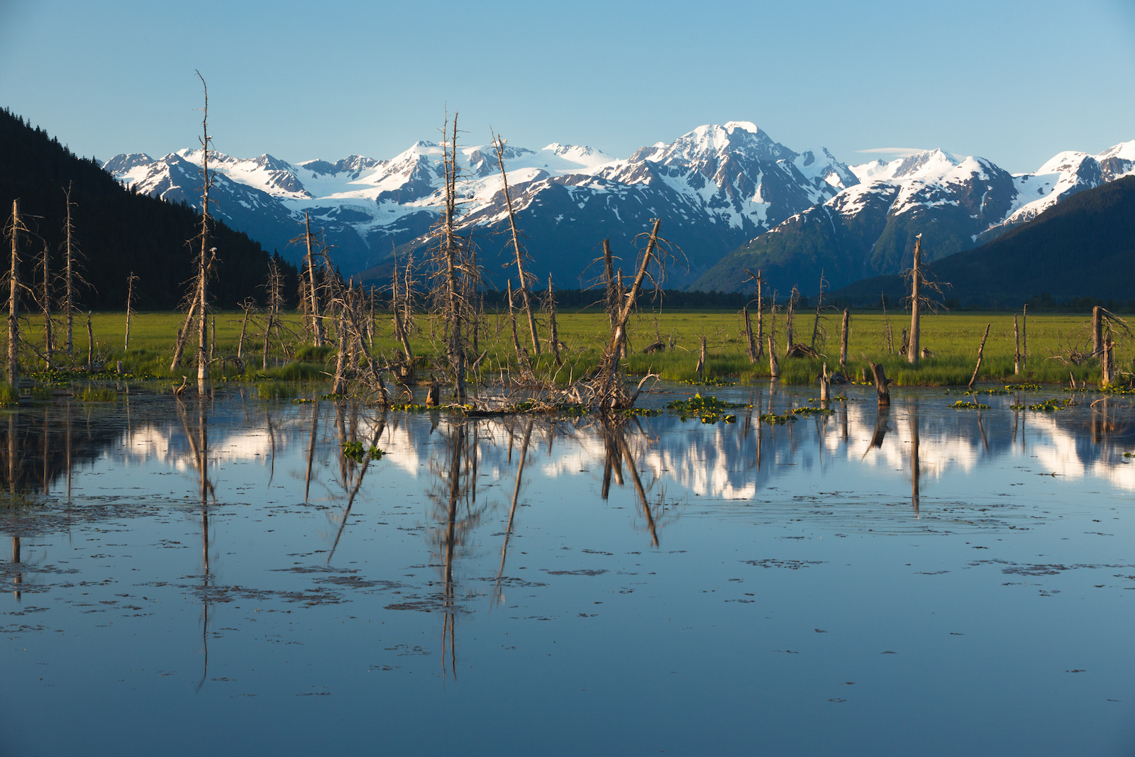 Video and Photo Epic: Trail Hunter - Alaska - Pinkbike