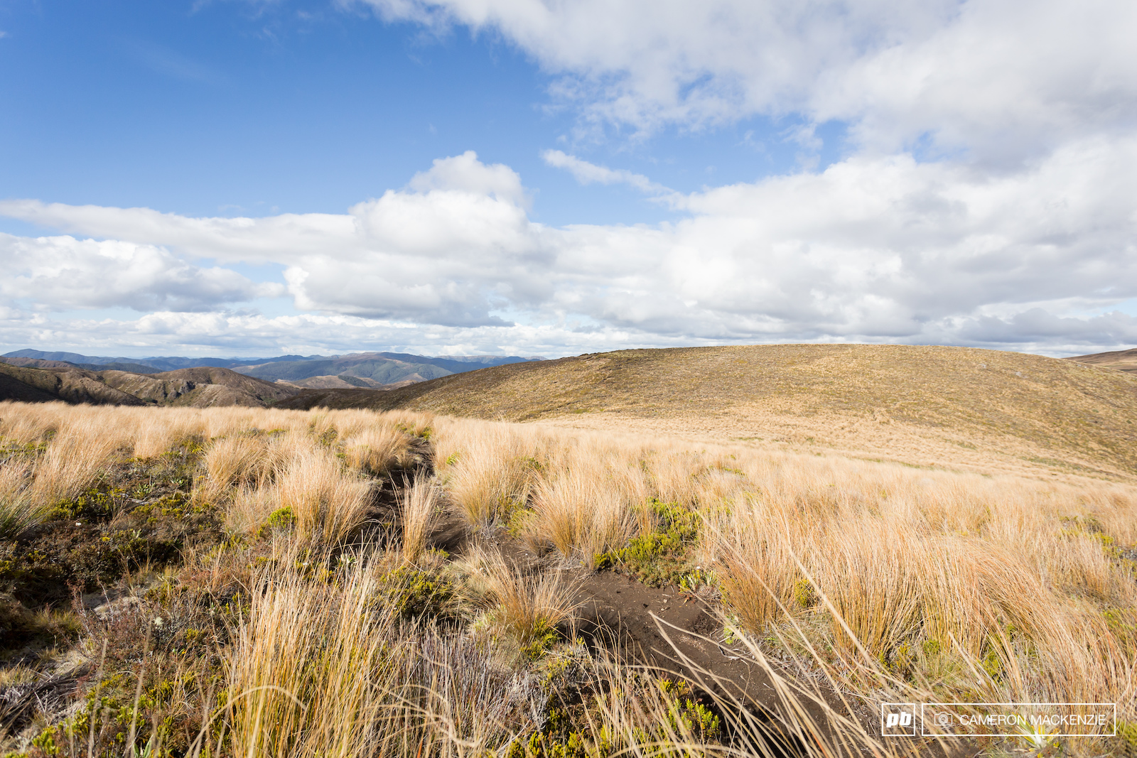 Photo Epic: Heli-Biking in Northern New Zealand with JustMTB - Pinkbike