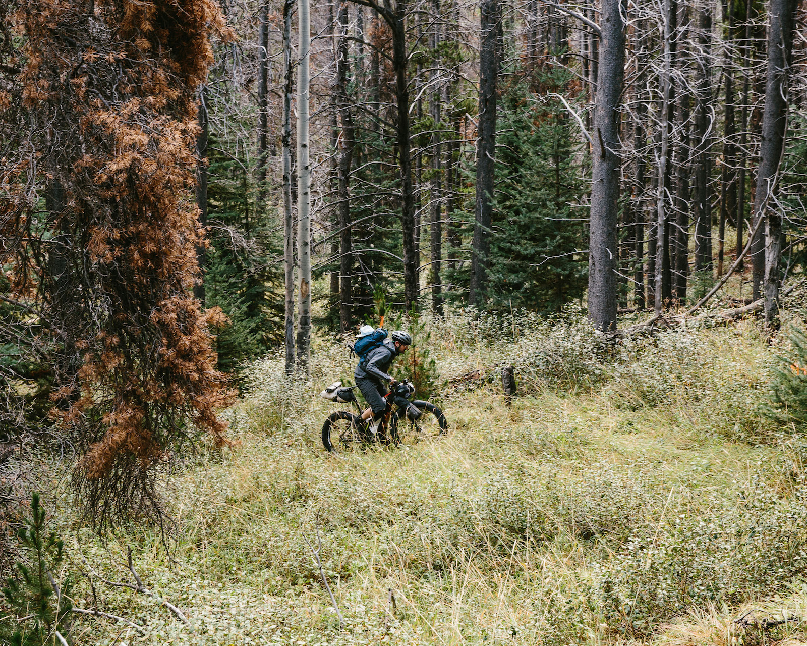 Photo Epic: Dead Reckoning Iron Pass - Day 1 - Pinkbike