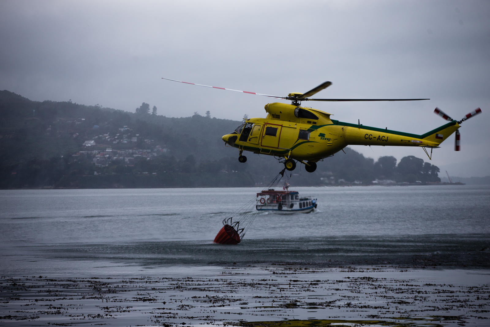 Ibis Racing in Chile for EWS - Pinkbike