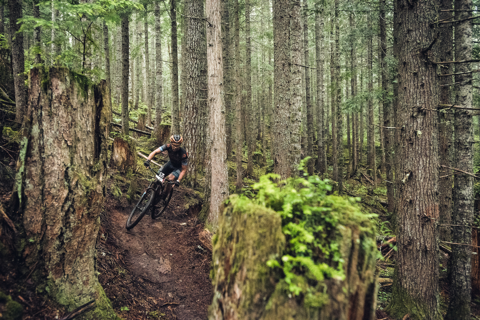 2016 BC Bike Race - Photo Epic - Pinkbike