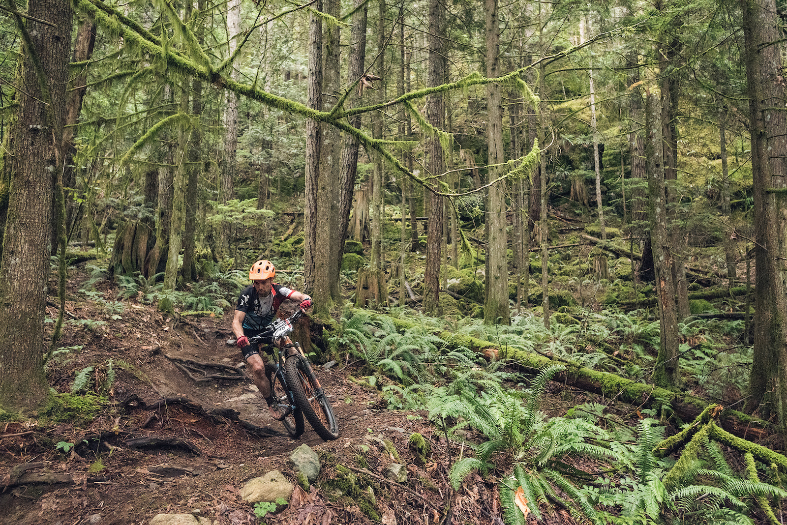 2016 BC Bike Race - Photo Epic - Pinkbike