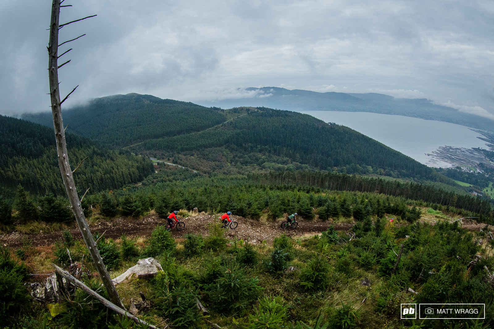 Red Bull Foxhunt 2016, Rostrevor - Pinkbike
