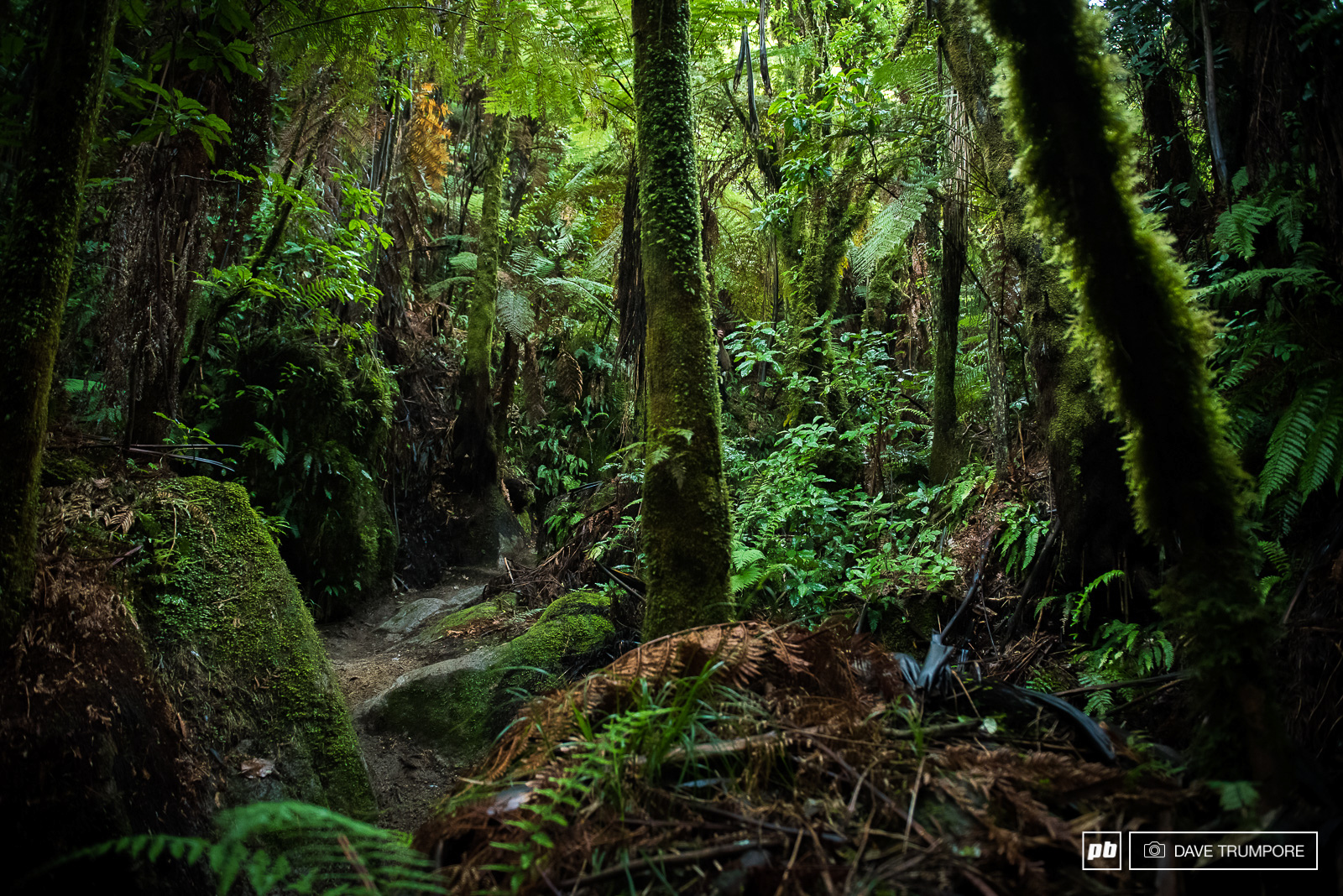 Return to the Jungle: EWS Round 1, Rotorua - Photo Epic - Pinkbike