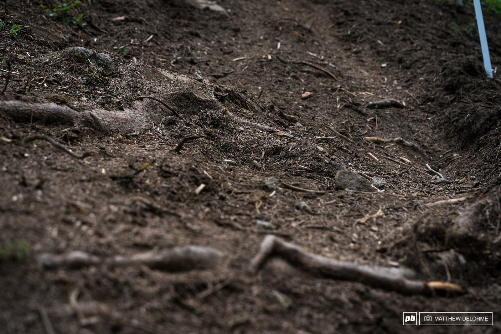 The Grass Finale: XC Course Preview Photo Epic - Val di Sole World Cup ...
