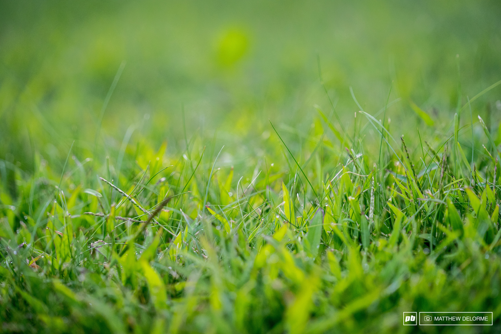 The Grass Finale: XC Course Preview Photo Epic - Val di Sole World Cup ...