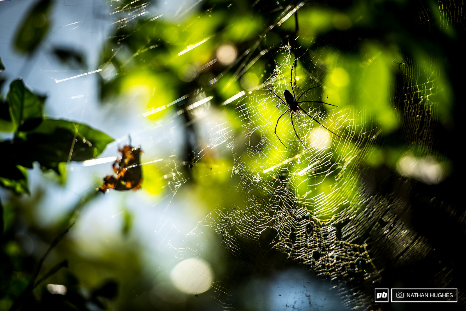 From a Land Down Under: Trackwalk - Cairns DH World Champs 2017 - Pinkbike