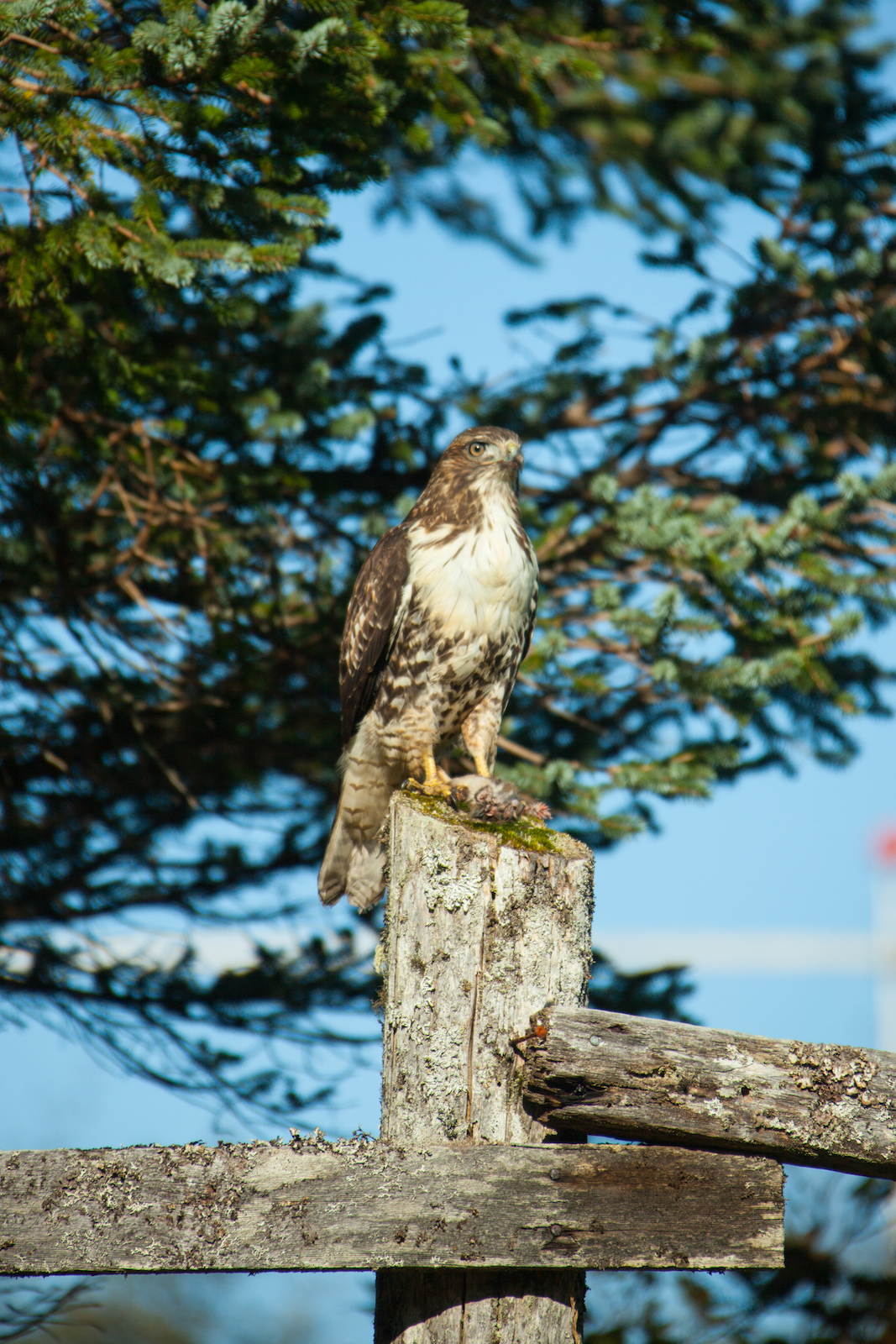 Adventure Mends The Mind & Soul - Fat Biking Around Haida Gwaii - Pinkbike
