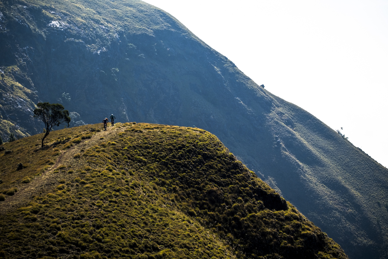Dan Milner's 2017 in Pictures - Photo Epic - Pinkbike