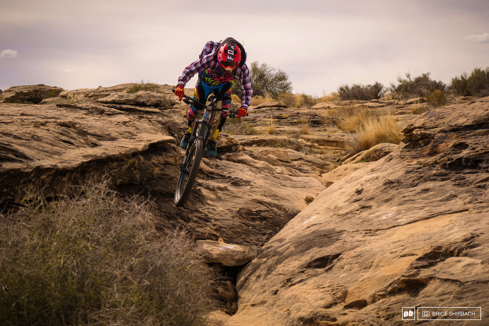 Local Flavors: The Complete Mountain Bike Guide to St. George, Utah ...