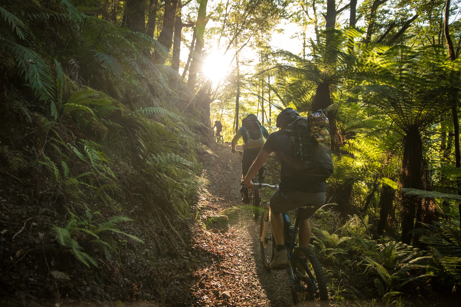 Trailforks Trail of the Month: Old Ghost Road, NZ