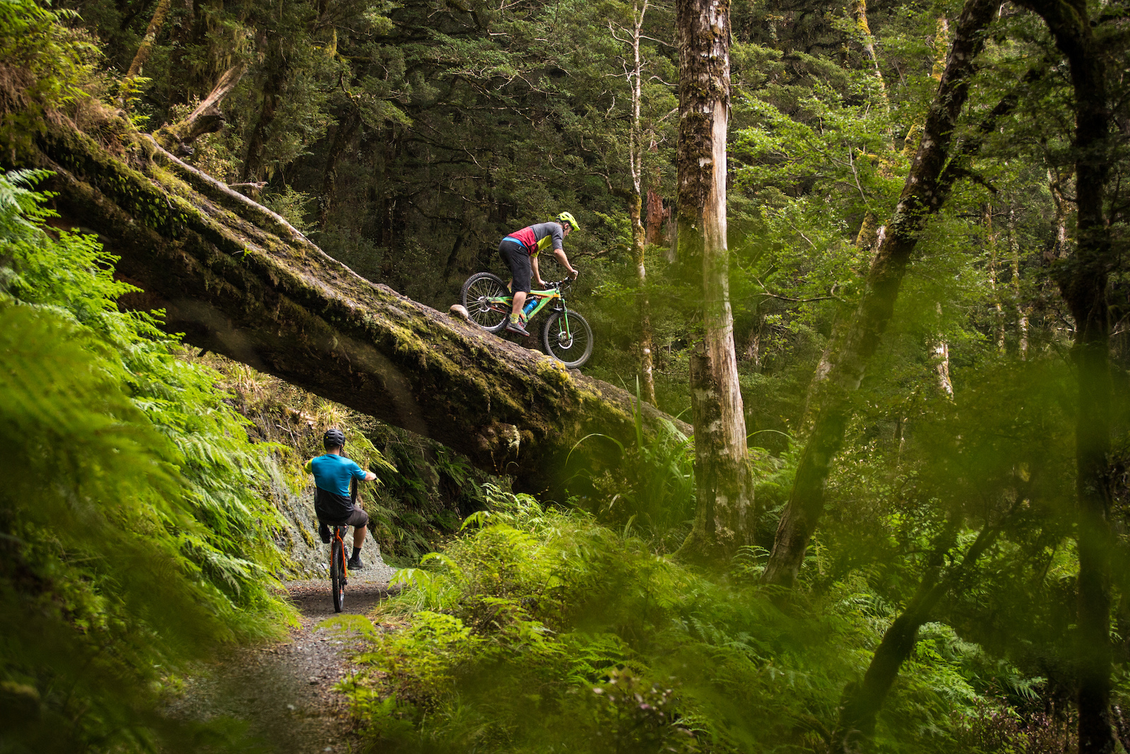 Trailforks Trail of the Month: Old Ghost Road, NZ