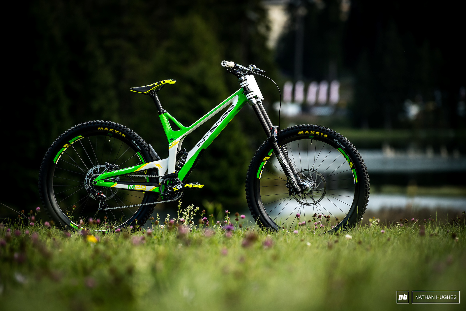 Part 2: Custom World Champs Bike Gallery - Lenzerheide DH World Champs ...