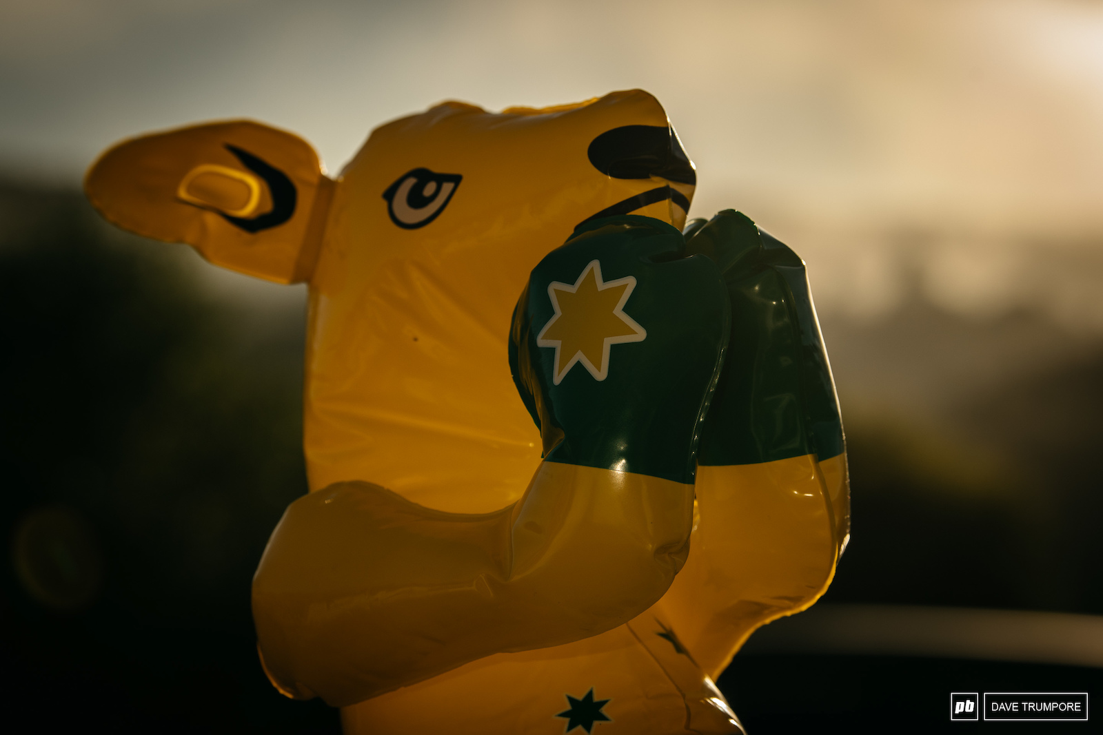 Course Preview: Ride The Tassy Tiger - EWS Tasmania 2019 - Pinkbike