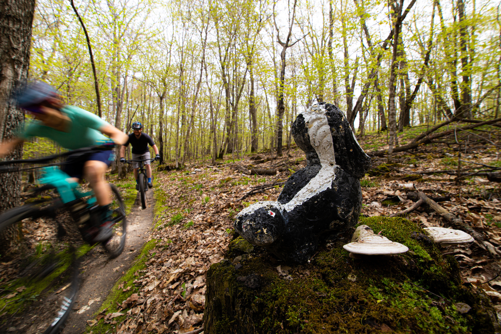 Destination Showcase: Detroit Lakes & Cuyuna, Minnesota - Pinkbike