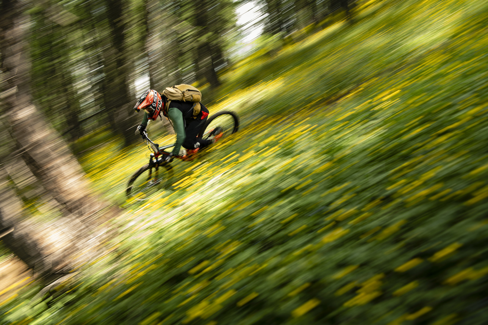 Photo Epic: The Final Cut - Trans-Provence 2019 - Pinkbike