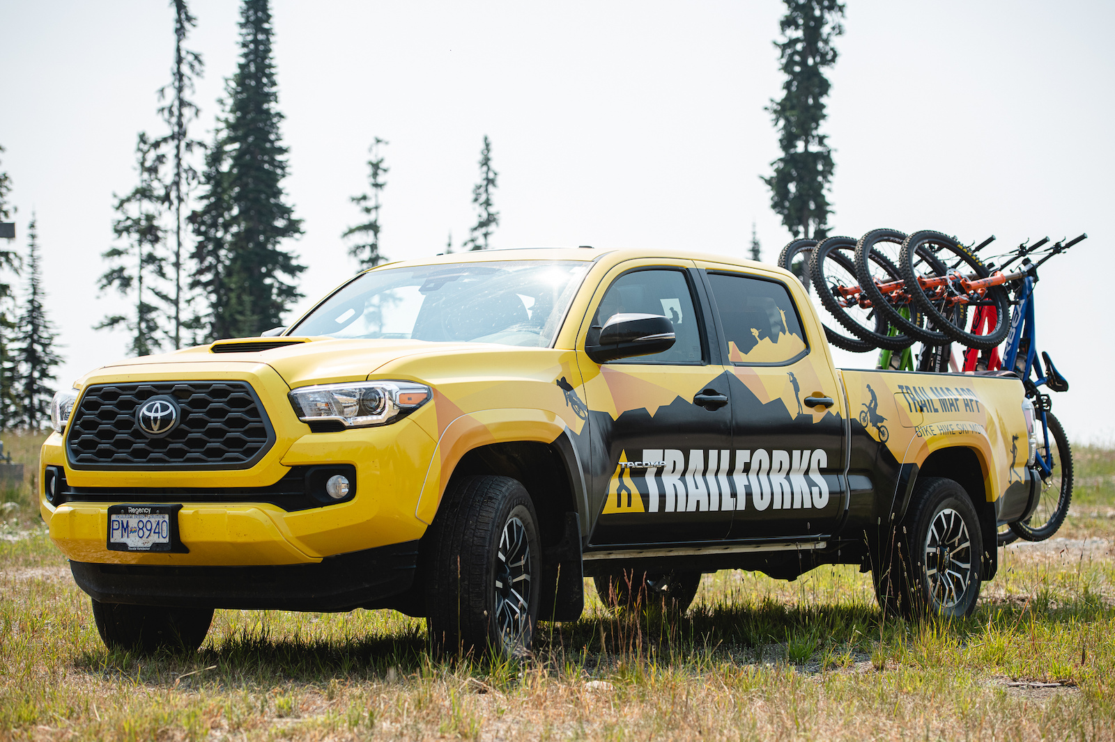 Timeline | Trailforks